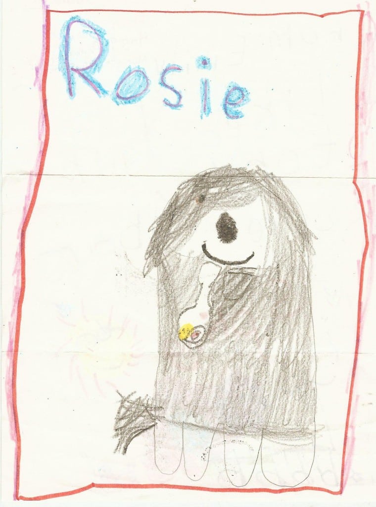 best dog books - Q & A with Stephanie Calmenson: ROSIE, A VISITING DOG ...