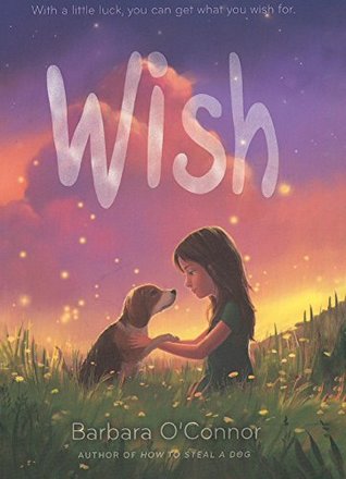 best dog books: Q & A with Barbara O'Connor - WISH - Annemarie O'Brien