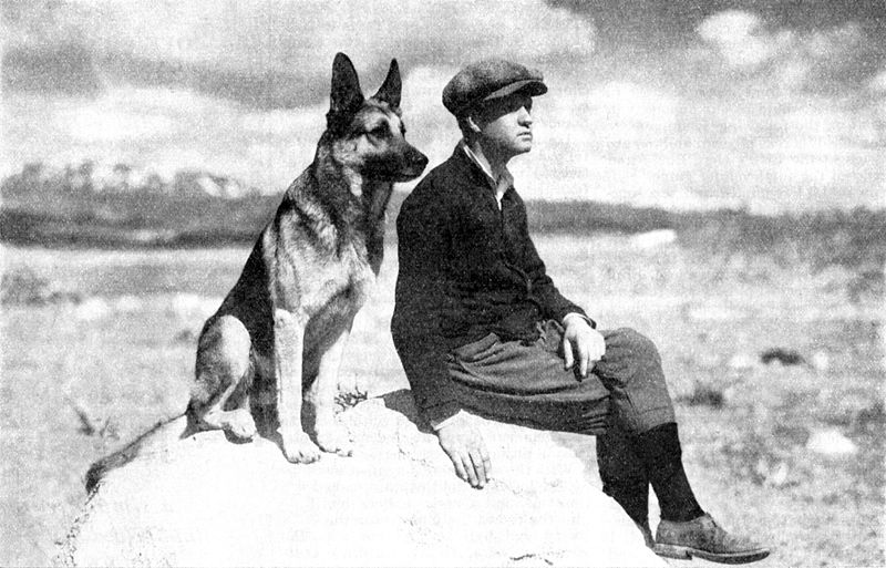 best dog books Q & A with Candace Fleming and Eric Rohmann: STRONGHEART ...